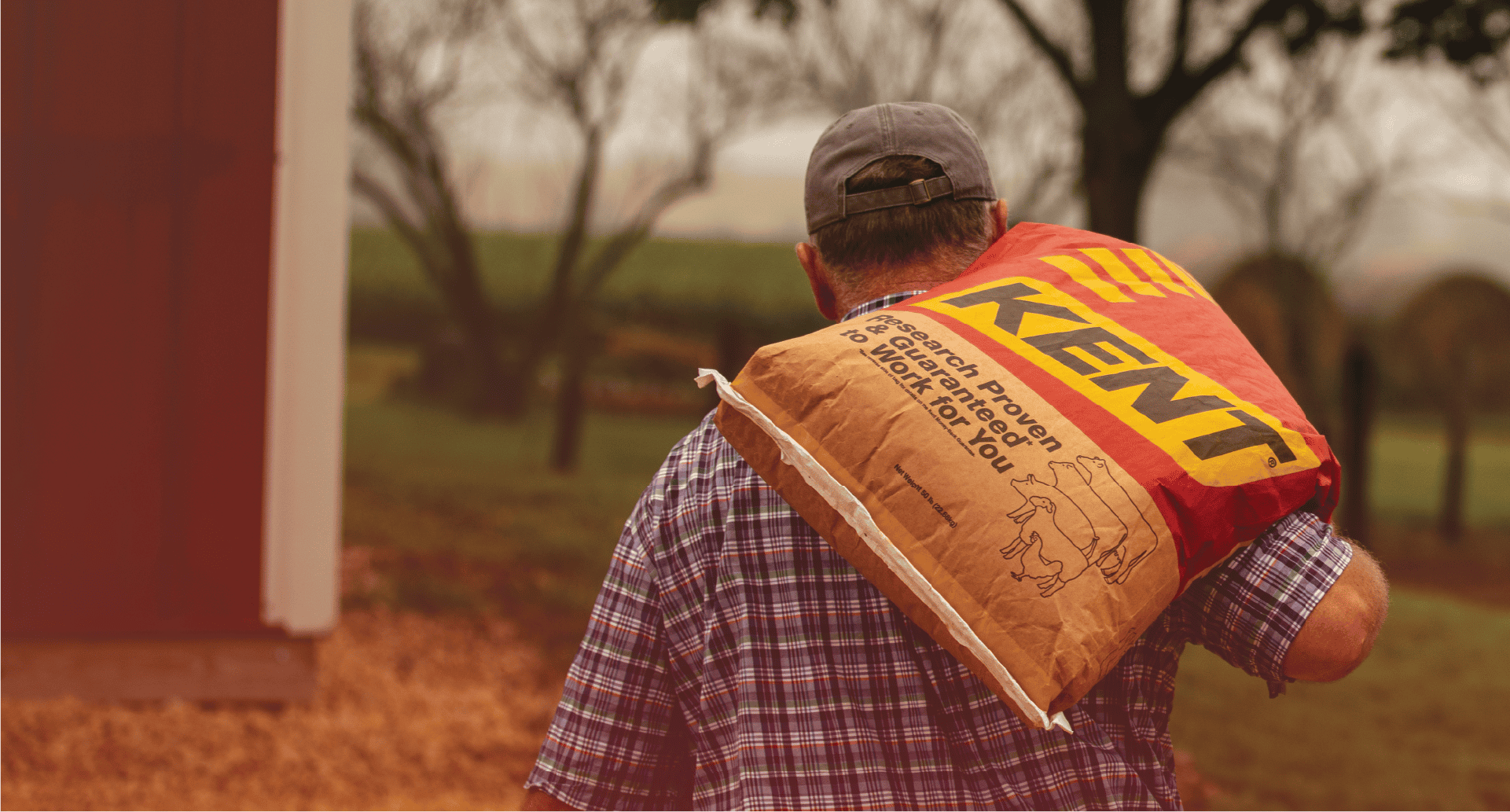 Kent feeds/Blue Seal feeds - Red Dot Branding + Marketing